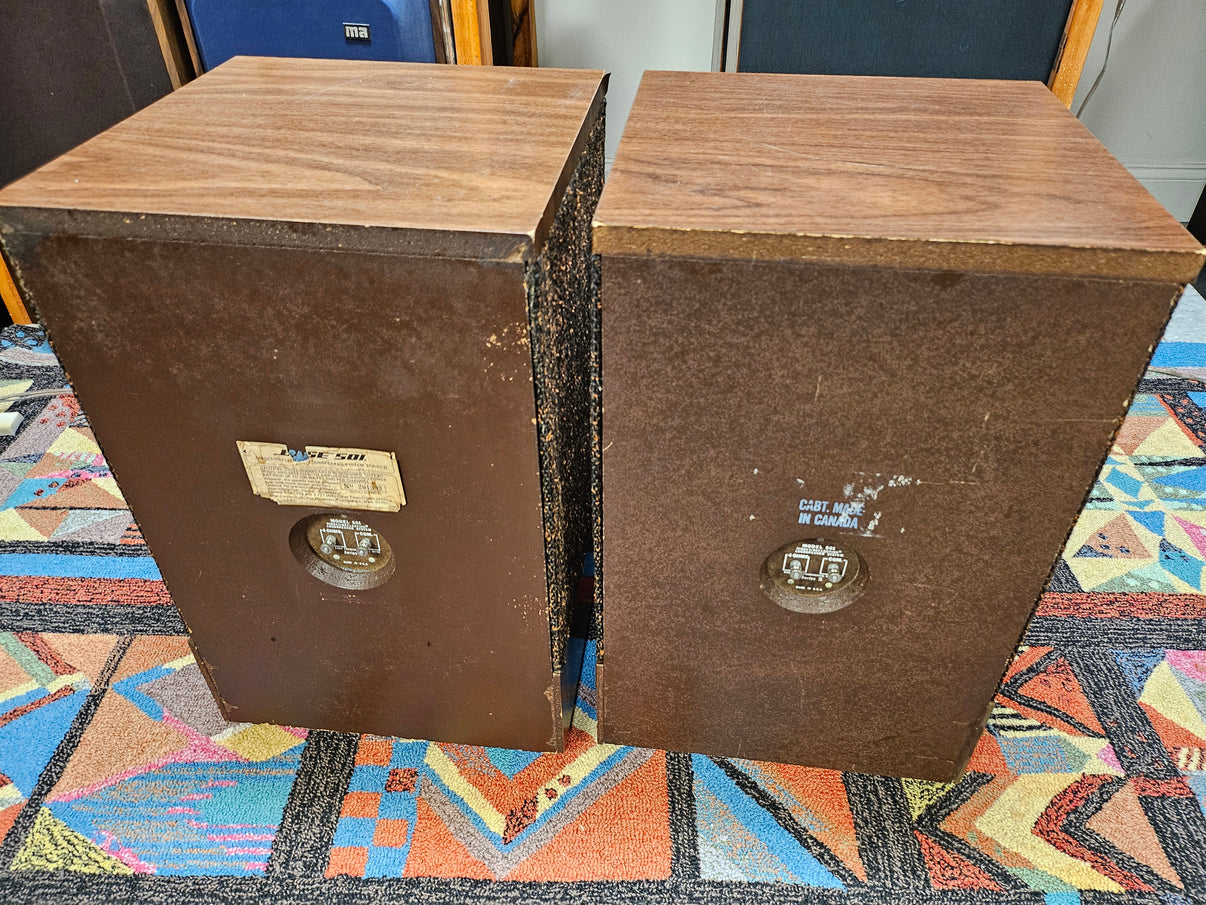 Bose 501 Series II Floor Standing Speakers – The Turntable Store