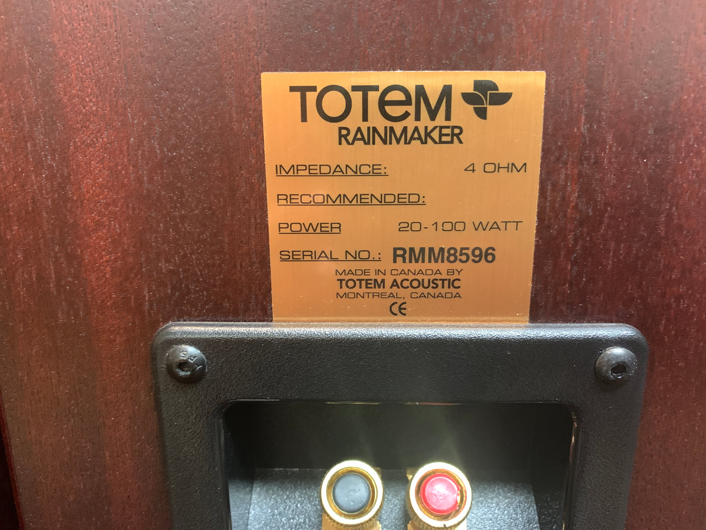 Totem Rainmaker Speakers – The Turntable Store