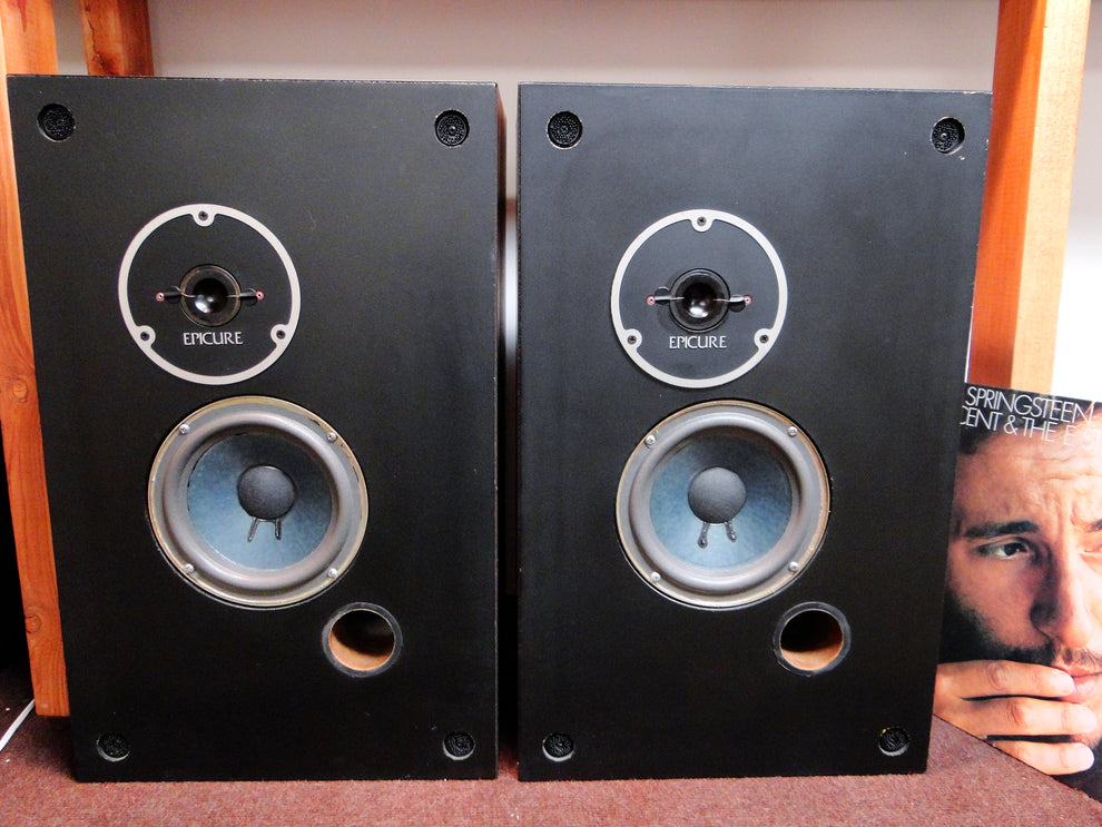 EPI Epicure Model 11 Speakers – The Turntable Store