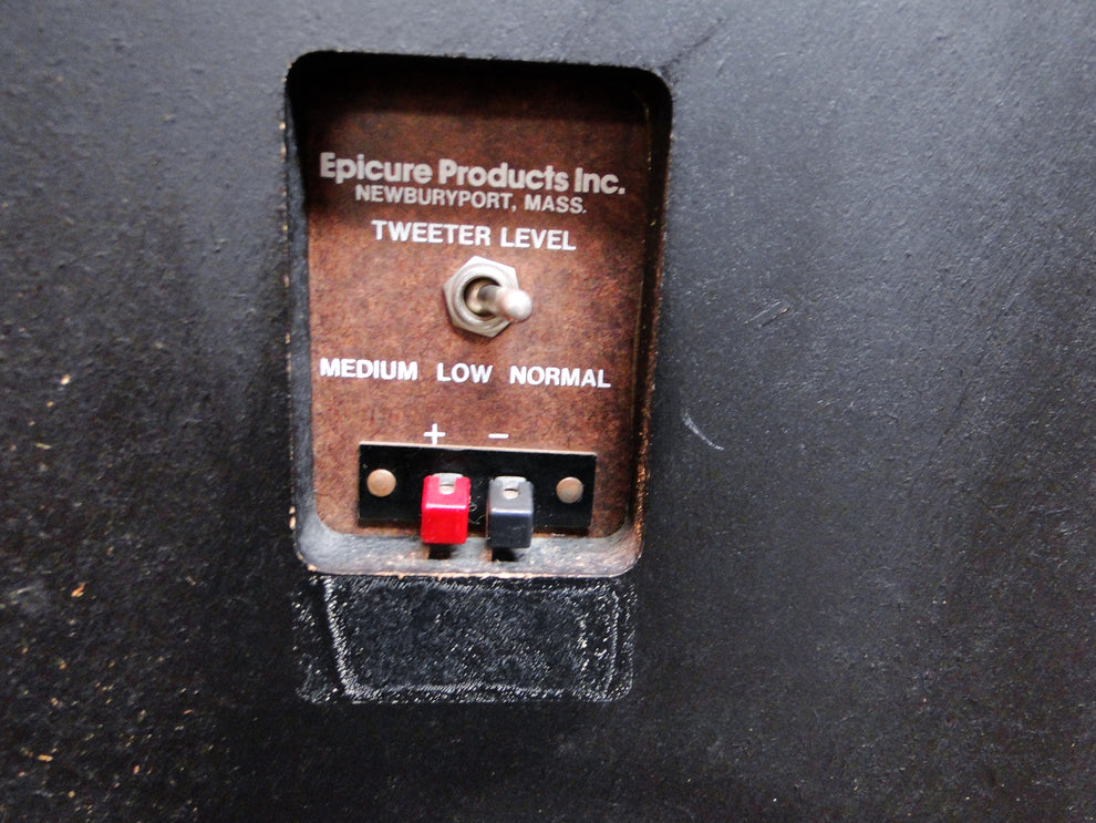 EPI Epicure Model 11 Speakers – The Turntable Store